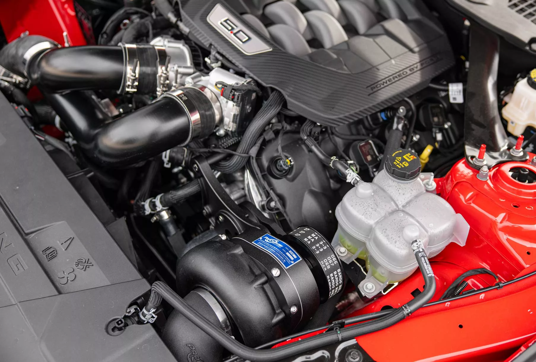 2024 Ford Mustang GT Superchargers - ProCharger Superchargers