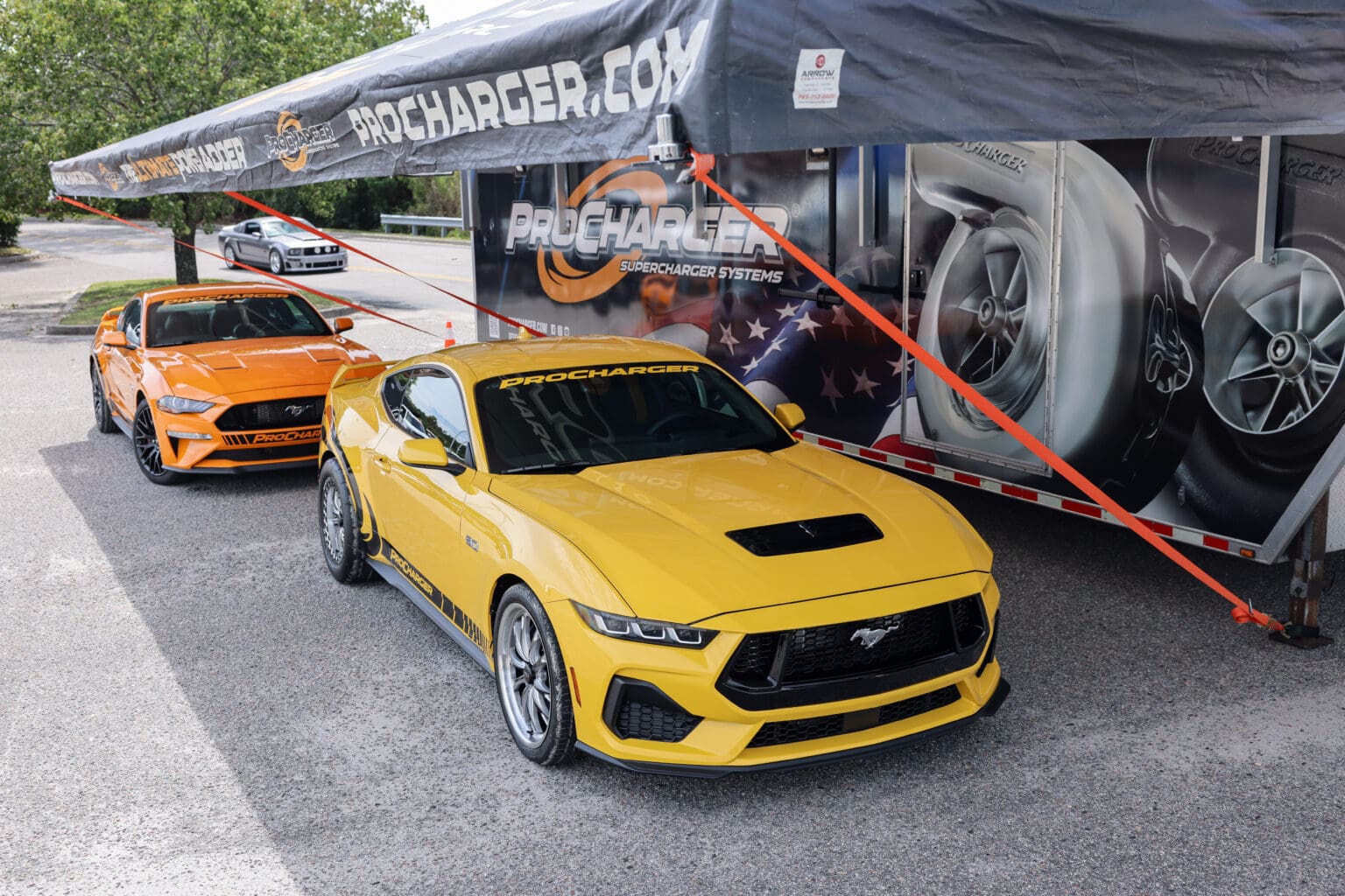THE ULTIMATE FORD MUSTANG SHOW: MUSTANG WEEK 2024 RECAP | ProCharger ...