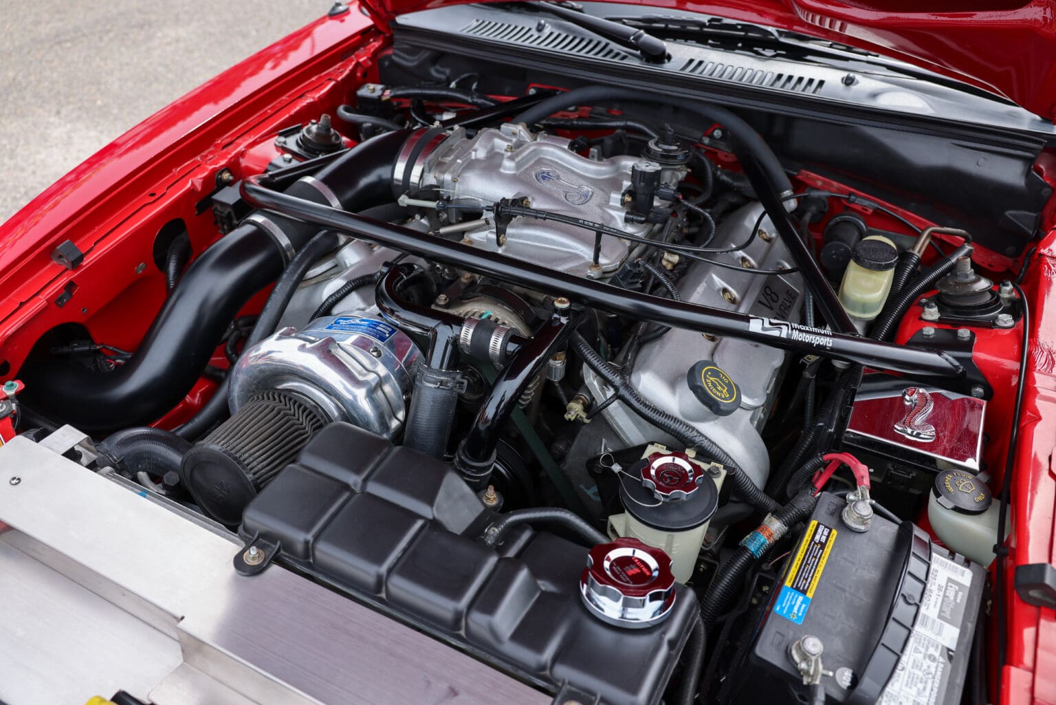 THE ULTIMATE FORD MUSTANG SHOW: MUSTANG WEEK 2024 RECAP | ProCharger ...