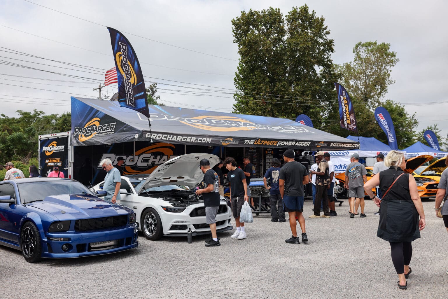 THE ULTIMATE FORD MUSTANG SHOW: MUSTANG WEEK 2024 RECAP | ProCharger ...
