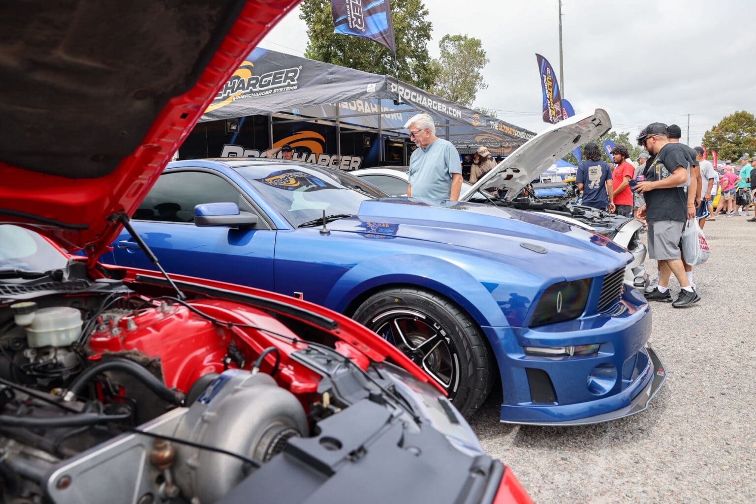 THE ULTIMATE FORD MUSTANG SHOW: MUSTANG WEEK 2024 RECAP | ProCharger ...